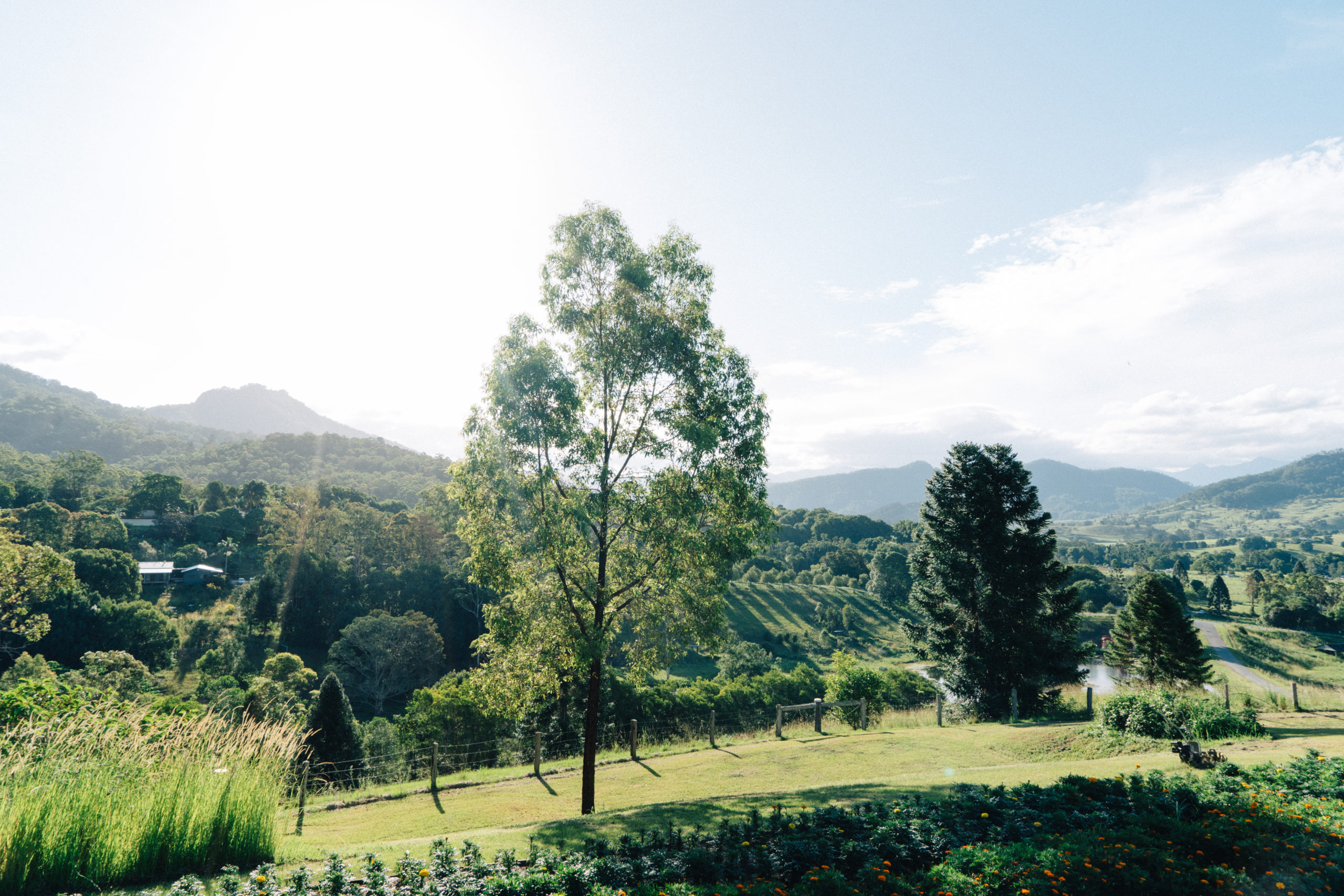 'Cultivate Your Home Practice' Retreat