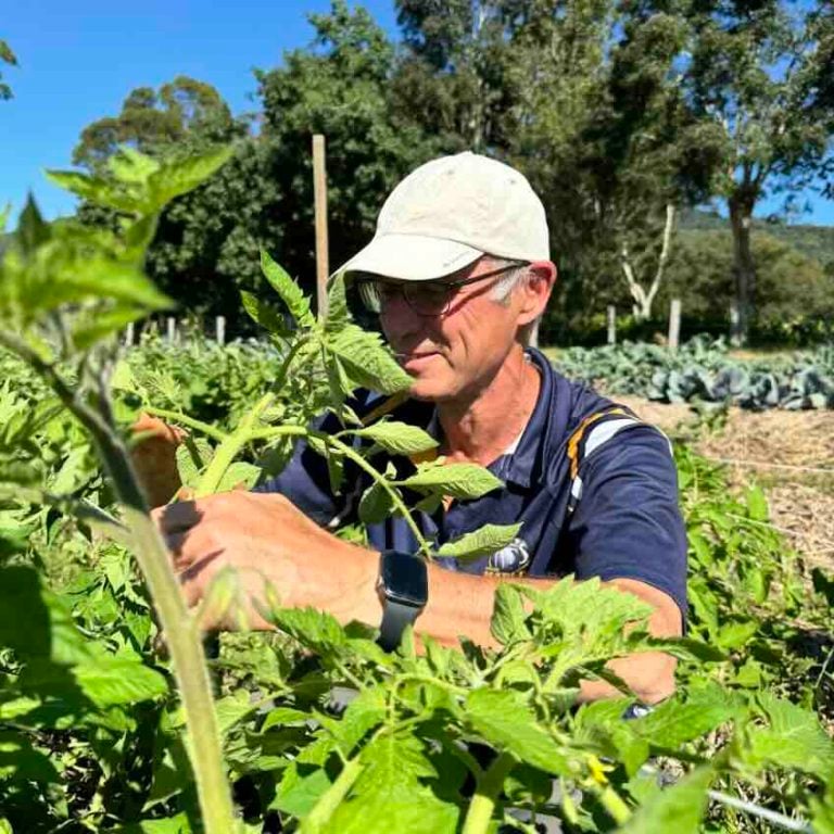 WWOOF Australia | WWOOFing, Byron Bay - Krishna Village