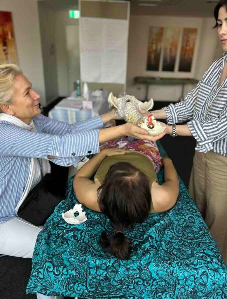 Stress, Trauma & Nervous System Regulation Workshop - Krishna Village
